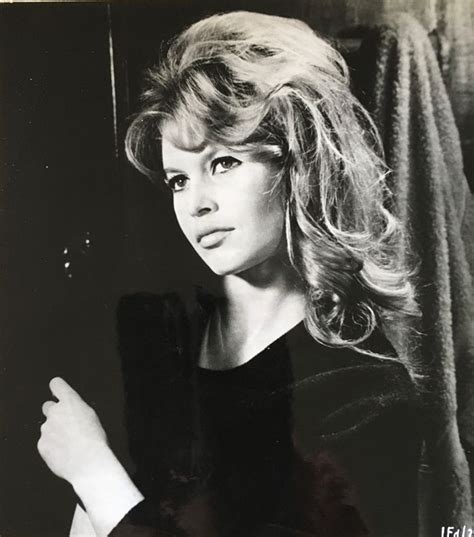 Orig Filmfoto Brigitte Bardot Franz Sexsymbol Film Gebraucht In