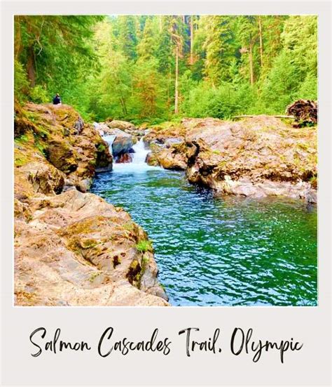 Sol Duc Salmon Cascades Olympic National Park All You Need To Know