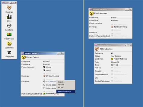 Naked Objects User And Developer Views Of The System