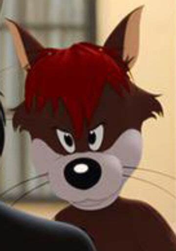 Tom Agus Jerry Meathead