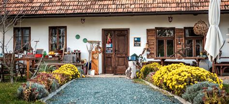 Kommissar Rex Star Martin Weinek Im Gespräch über Sein Weingut Und