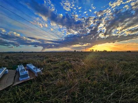 Adam Jackson On Linkedin Telstra Build Complete In Ipswich Area Onto