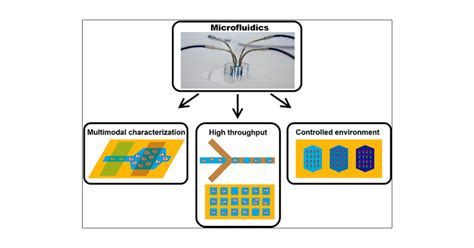 Recent Advances In Microfluidic Techniques For Systems Biology Analytical Chemistry