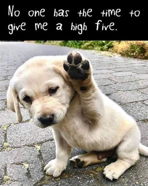 Lustiges High Five Meme Fist Bump Upgrade