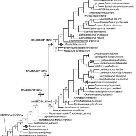 Barsboldia Sicinskii Left Ilium In Lateral View Zpal Mgd I 110 2 Download Scientific
