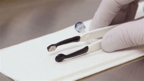 Video Microinjection Of Dna Plasmid Mix Into The Mouse Brain Ventricle