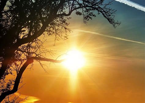 Berjemur Yuk Sinar Matahari Pagi Bisa Bikin Kesehatan Mental Pingintauid