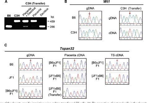 Figure 2 From Re Investigation And Rna Sequencing Based Identification