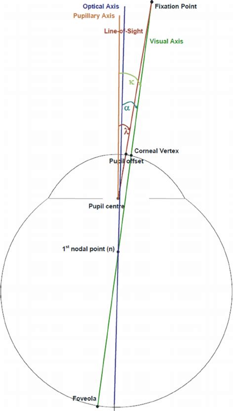 principal reference axes of the human eye download scientific diagram