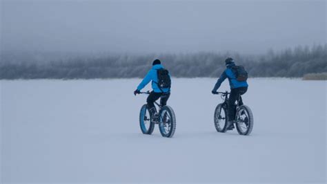 Ld Staff Lyons Davidson Solicitors