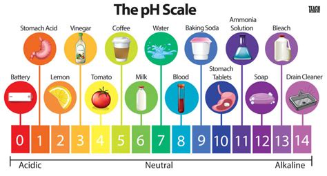 Stomach Acid Color