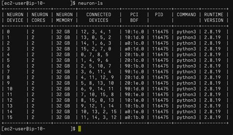 amazon ec2 trn1 instances for high performance model training are now