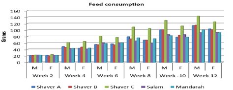 Sex Effect Of Feed Consumption For Different Strains From 2 To 12 Weeks Download Scientific