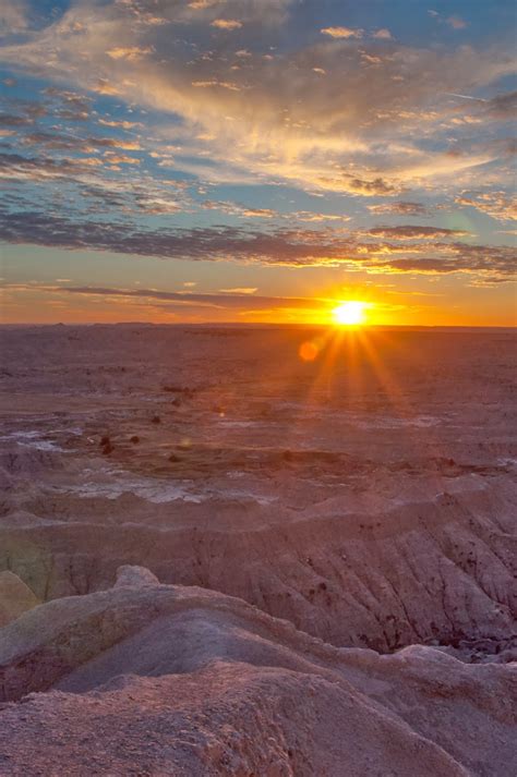 A Tree Falling Badlands National Park Sunset