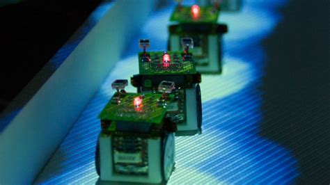 Swarm Intelligence Scientists Build Robotic Ant Colony To Find Out How Real Ants Choose