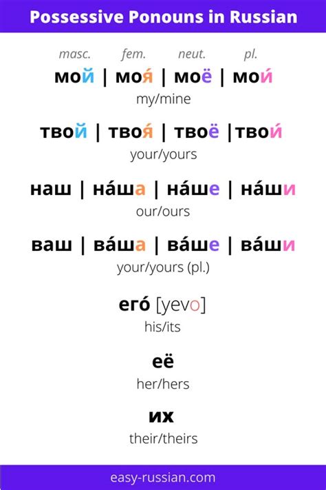 Possessive Pronouns And Adjectives In Russian Grammar En 2024