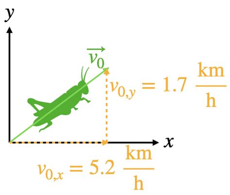 Use Information From The Figure To Find The Initial Speed Of Quizlet