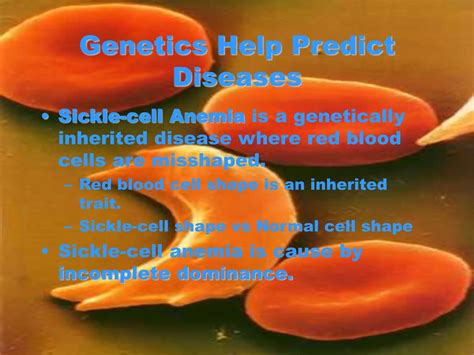 Heredity And Genetics Powerpointppt Genetics Science
