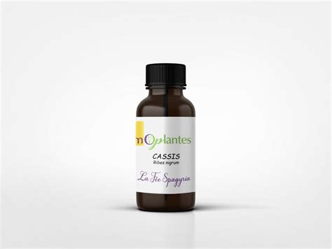 Cassis Bourgeons Bio La Fée Spagyria Laboratoire Phyto Spagyrique