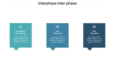 Interphase Inter Phase Ppt Powerpoint Presentation Gallery Background Cpb Presentation