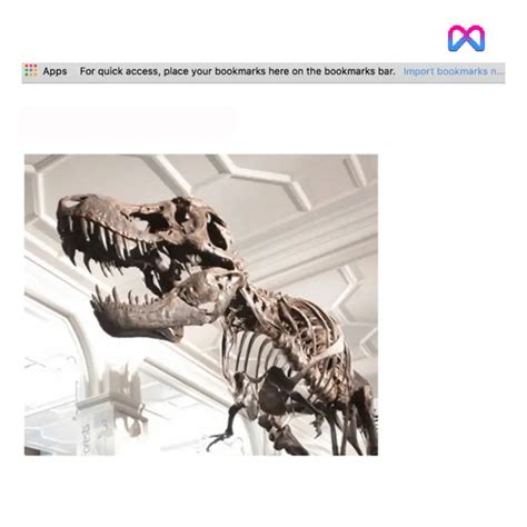 نحوه استفاده از تصویر با تگ در Html مقالات متاوبز