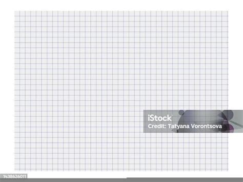 그래프 용지 좌표 용지 그리드 용지 또는 배경용 정사각형 용지 이미지입니다 고정됨에 대한 스톡 벡터 아트 및 기타 이미지 고정됨 공란 공부 Istock