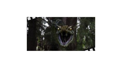 Mega Python Vs Gatoroid 