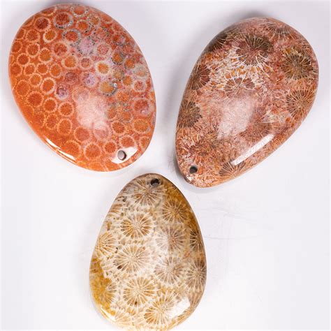 Coral Fossil Pendant Majestic Crystal Wholesale