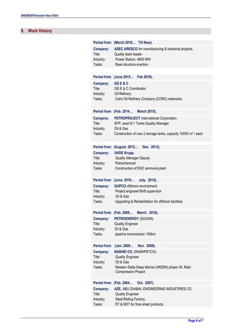 Hussien Nasr Resume Pdf