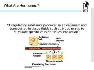 Hormones And Metabolism To Learn And Understand Pptx