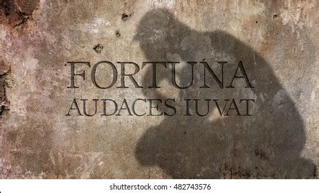 Categoría Iuvat De Fotos Imágenes E Ilustraciones Shutterstock