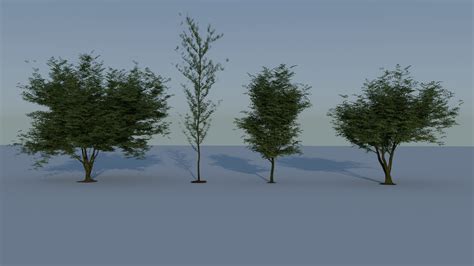 Realistic Tree 3d Model Turbosquid 2048647