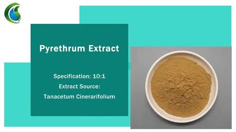Green Heaven Pyrethrum Extract Powder 5 Kg 30 60 Pyrethrin At Rs 2000 Kg In Nagpur
