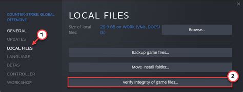 CS GO Crashing Freezing And Black Screen Issue In Windows
