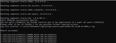 Steps For Patching In Standalone Database Oracle 19c In Windows