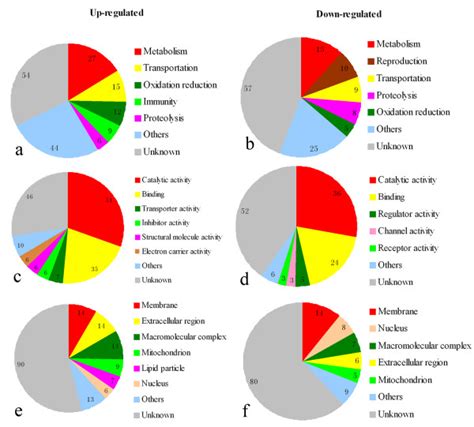 Pie Chart Representation Of Gene Ontology For Genes Differentially Download Scientific Diagram