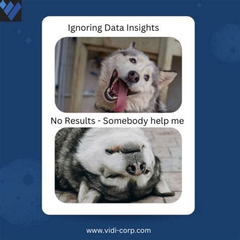 Data And Analytics How To Extract Insights Eugene Lebedev Posted On