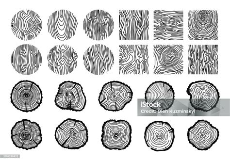 나무 질감입니다 손으로 그린 나무 나무 반지 그래픽 원형 사각형 요소 윤곽선 나무 나이테 그루터기 구조 장식적인 성격 절단 나무 원형 벡터 세트 나무에 대한 스톡 벡터 아트