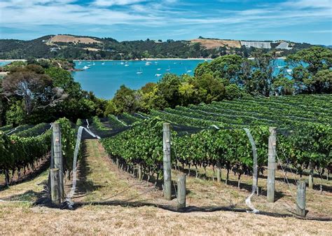 Waiheke Island Wine Tour Audley Travel