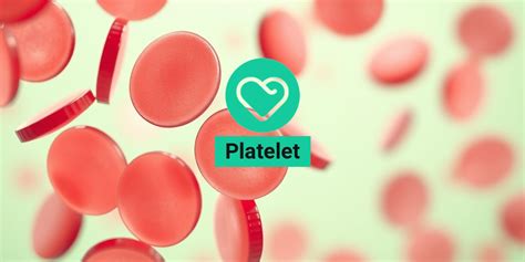 Platelet Function And Health Understanding The Basics • Yesil Health Ai