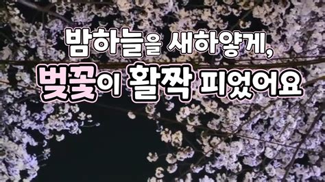 어느새 벚꽃이 활짝피었어요 호선 지상철도 지나가고 밤 벚꽃으로 도심 곳곳이 아름다워요 꽃잎이 떨어지기 전에 영상으로 남겨봅니다 YouTube