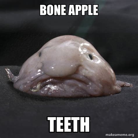 Bone Apple Teeth Blobfish Meme Generator