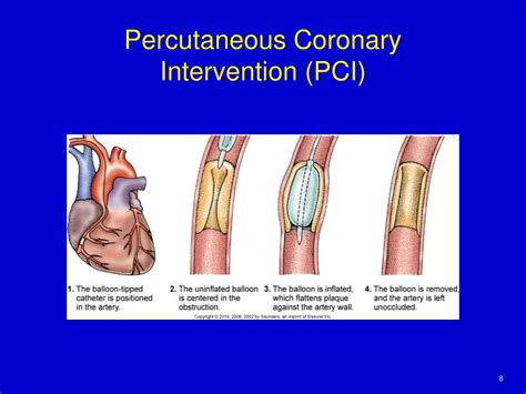 Ppt Assessment Of The Cardiovascular System Powerpoint Presentation
