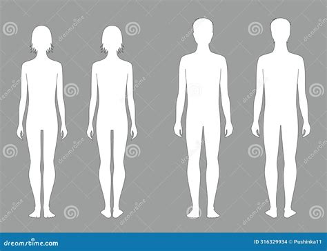 Male And Female Teenager Figure Front And Back Silhouette Vector Illustration Cartoondealer