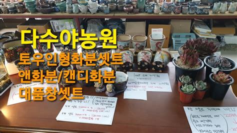 토우인형화분앤화분캔디화분셋트창셋트 특가 토우수제화분 앤화분 창셋트 캔디화분 자이언트비스트 뭉크 레드마리아