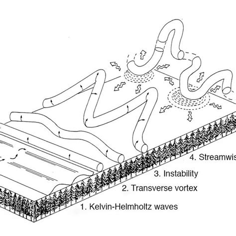 Three Dimensional Evolution Of Coherent Structures Above A Forest