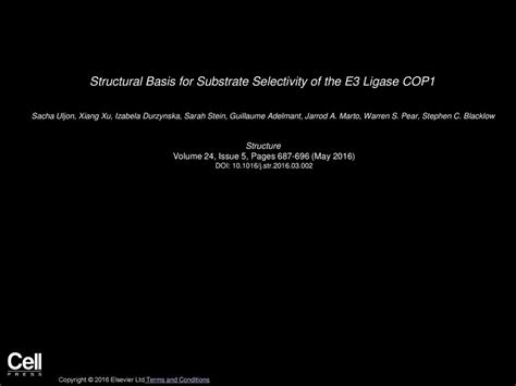 Structural Basis For Substrate Selectivity Of The E3 Ligase Cop1 Ppt