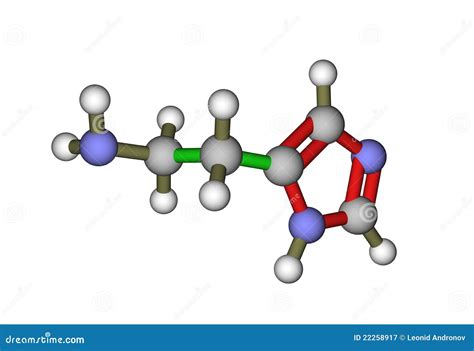 氨基酸分子结构图 多肽分子结构图 蛋白质分子结构图 第2页 大山谷图库