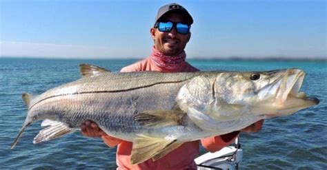 How To Rig LIVE Mullet (For Big Redfish, Snook, & Trout Near Structure)
