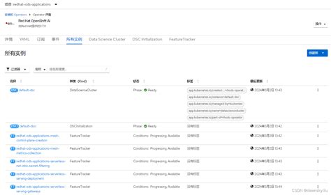 openshift ai 部署并使用 llm 模型 csdn博客